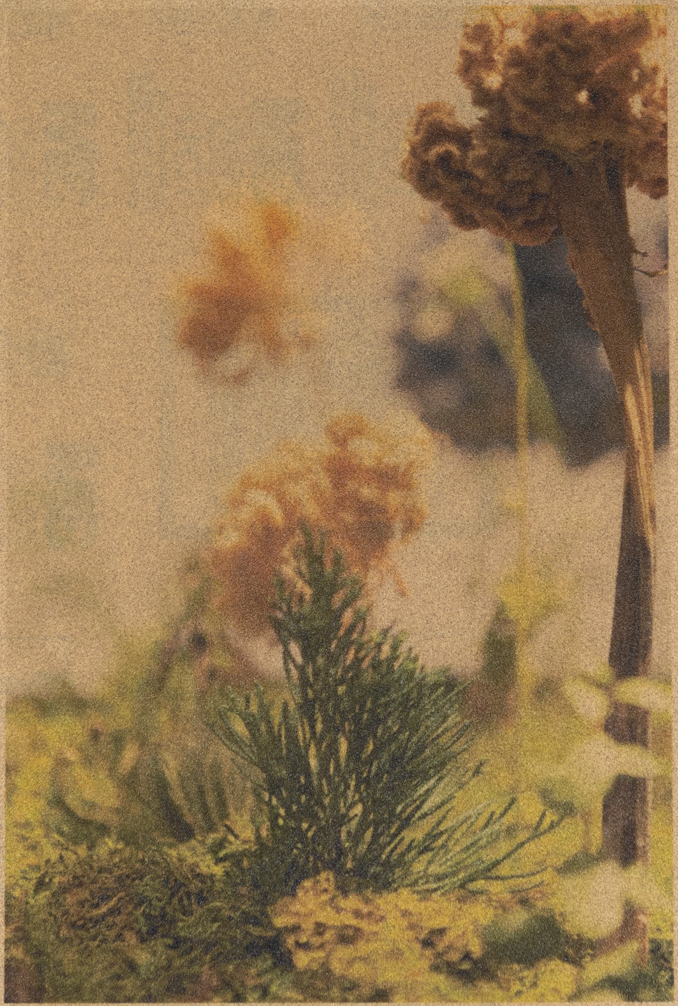 Deserted – Shawn Saumell